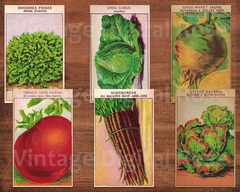 Vintage Printable French Vegetable Seed Packet Labels Colorful Food Il ...
